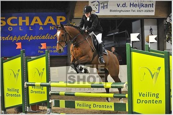 Mooie foto's van onze springwedstrijd @ Indoor Dronten • Bokt.nl